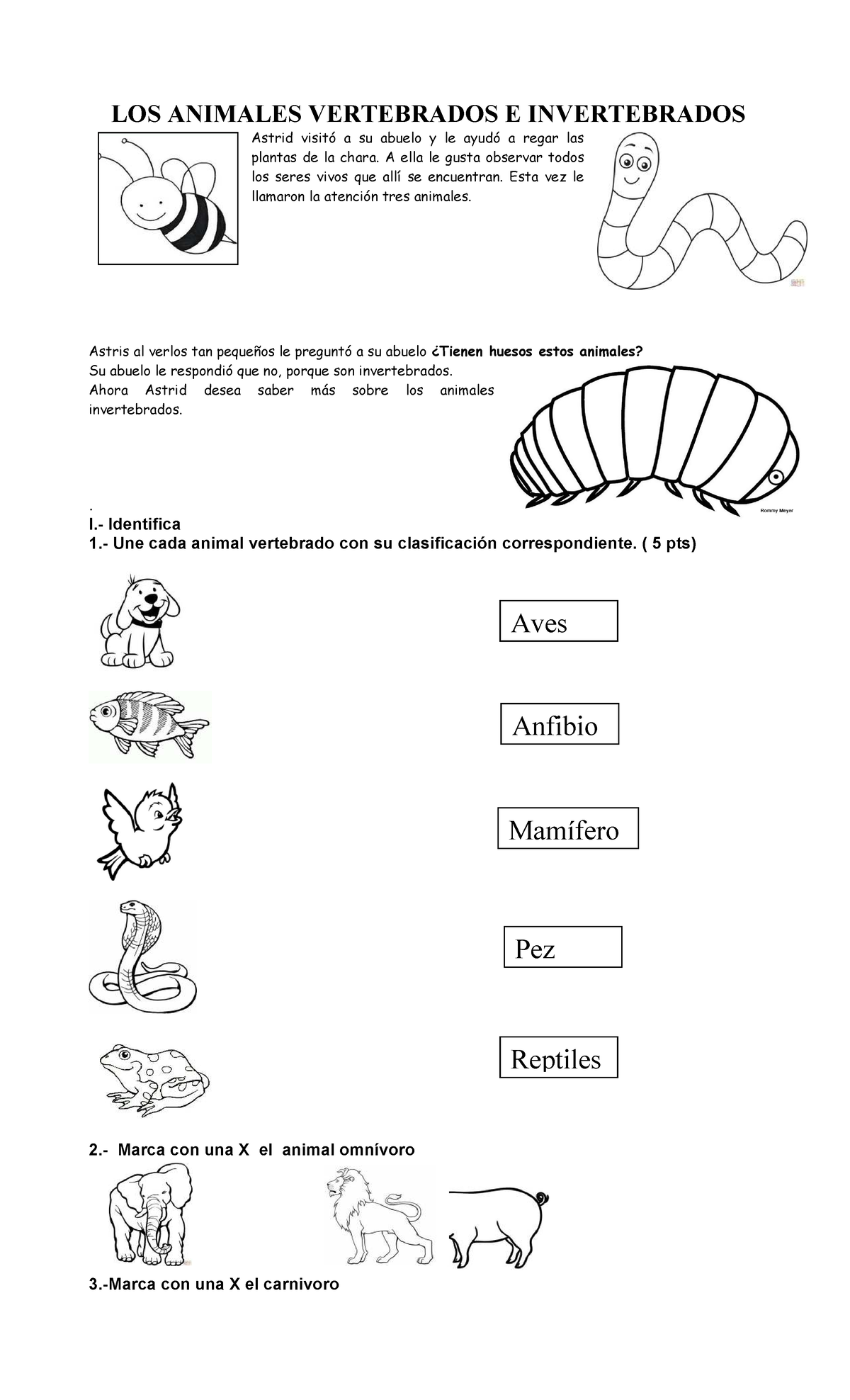 Evaluación: Animales Vertebrados e Invertebrados (518068357) - Studocu