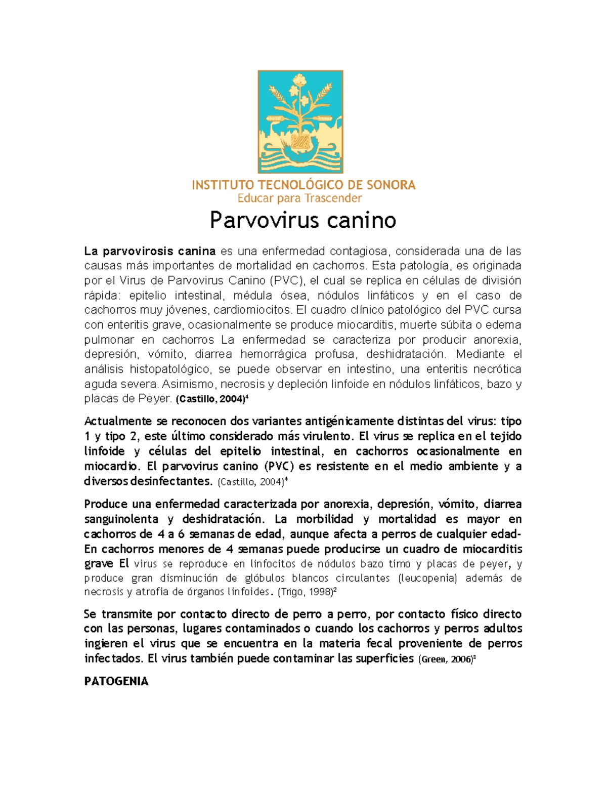 Tipos de Células: Lábiles, Estables y Permanentes - Biología 101 - Studocu