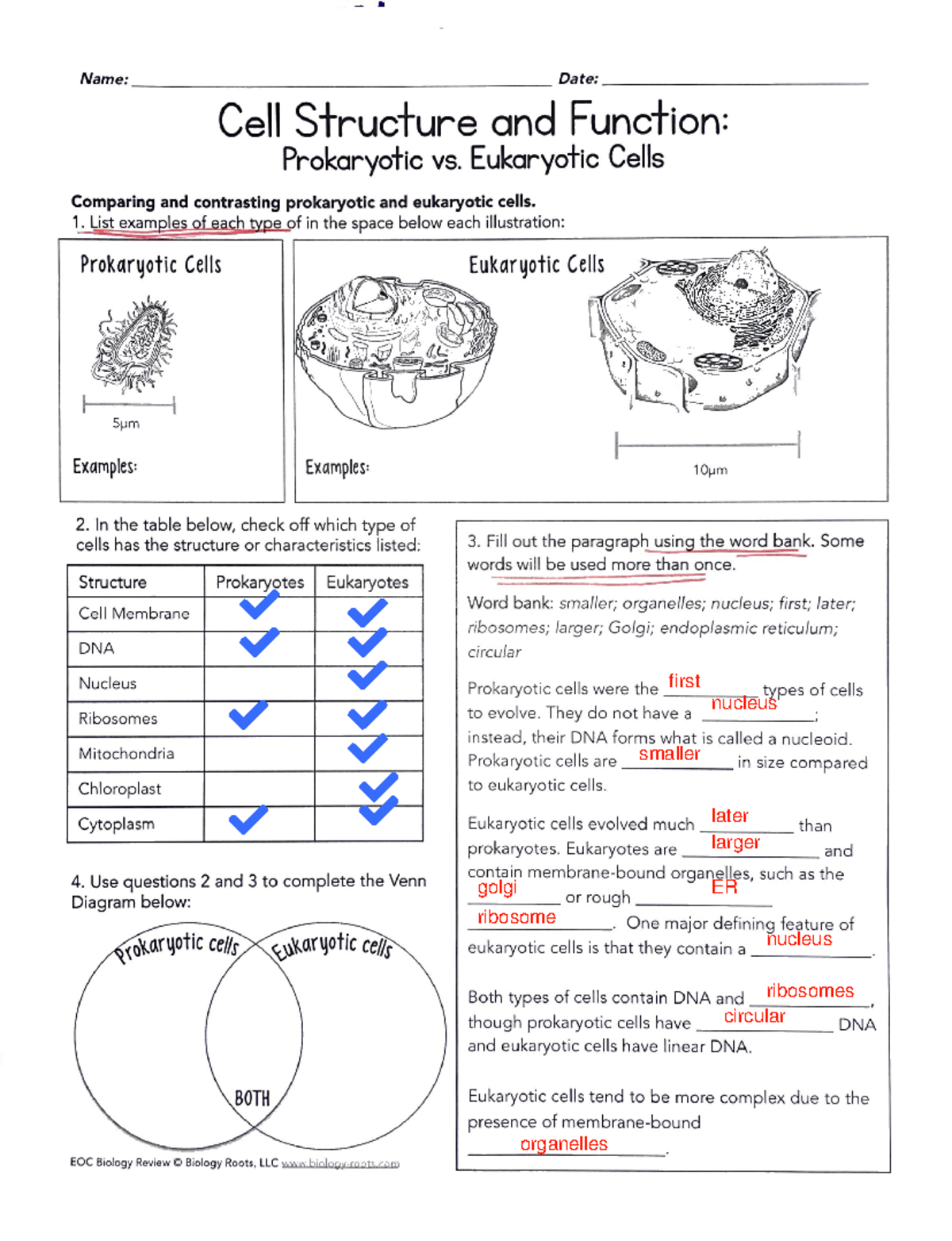 Biochemistry Study Guide: Cells and Organelles Overview - Studocu