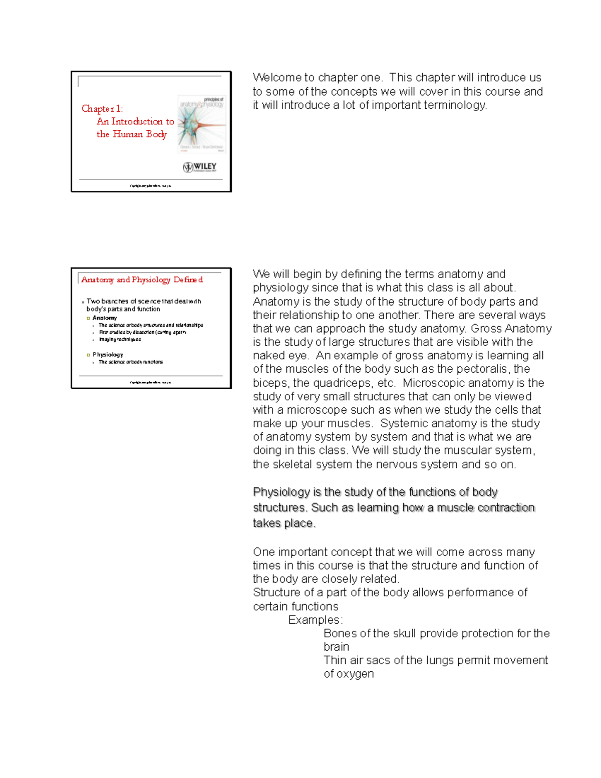 Chapter 1 - Intro to Anatomy & Physiology Lecture Notes - Studocu