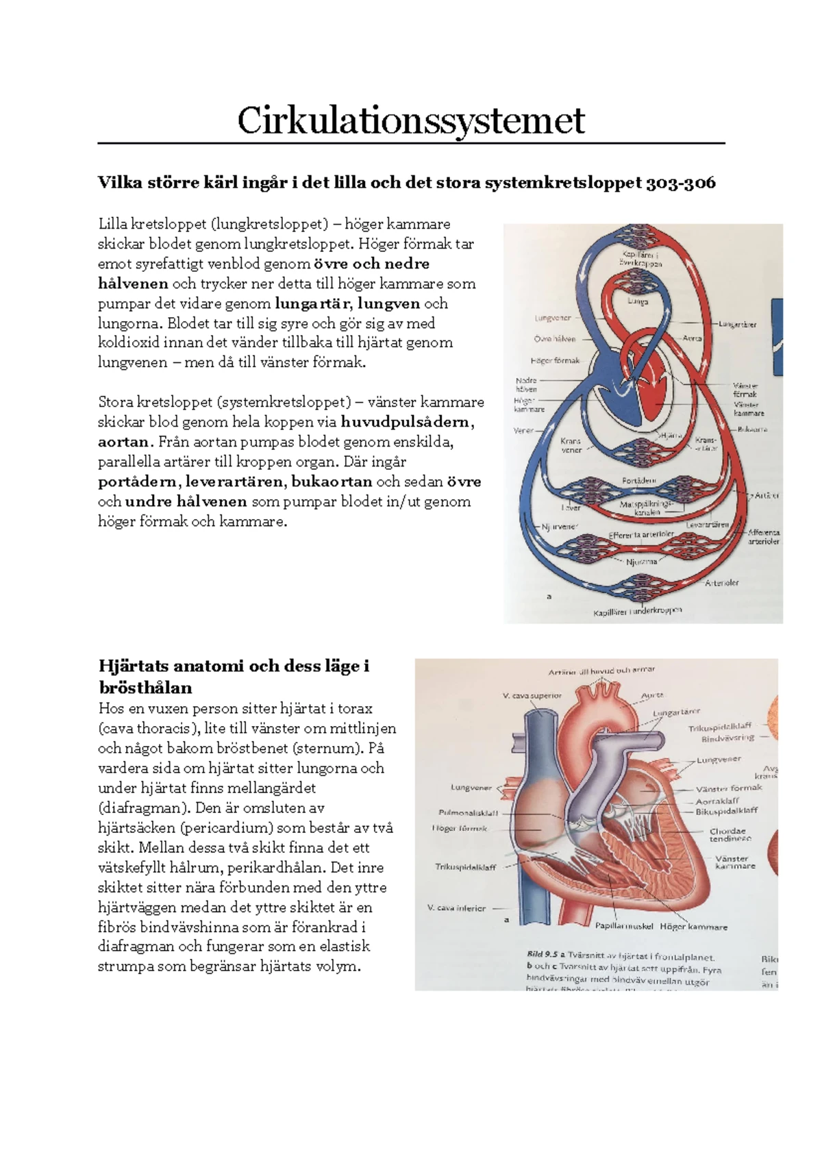 Sammanfattning Cirkulationssystemet - Cirkulationssystemet Består av ...
