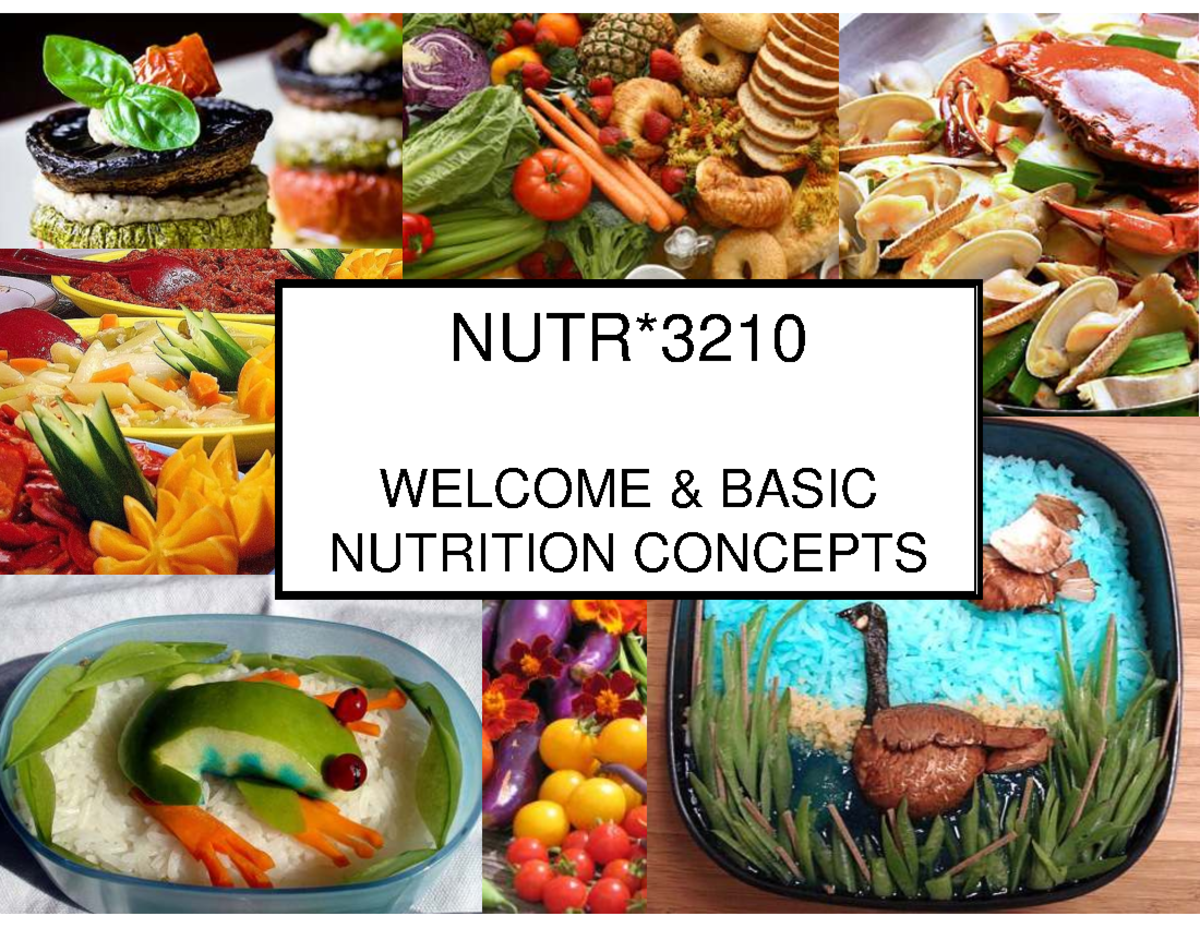 NUTR3210 Lecture 1: Intro to Basic Nutrition Concepts - Studocu