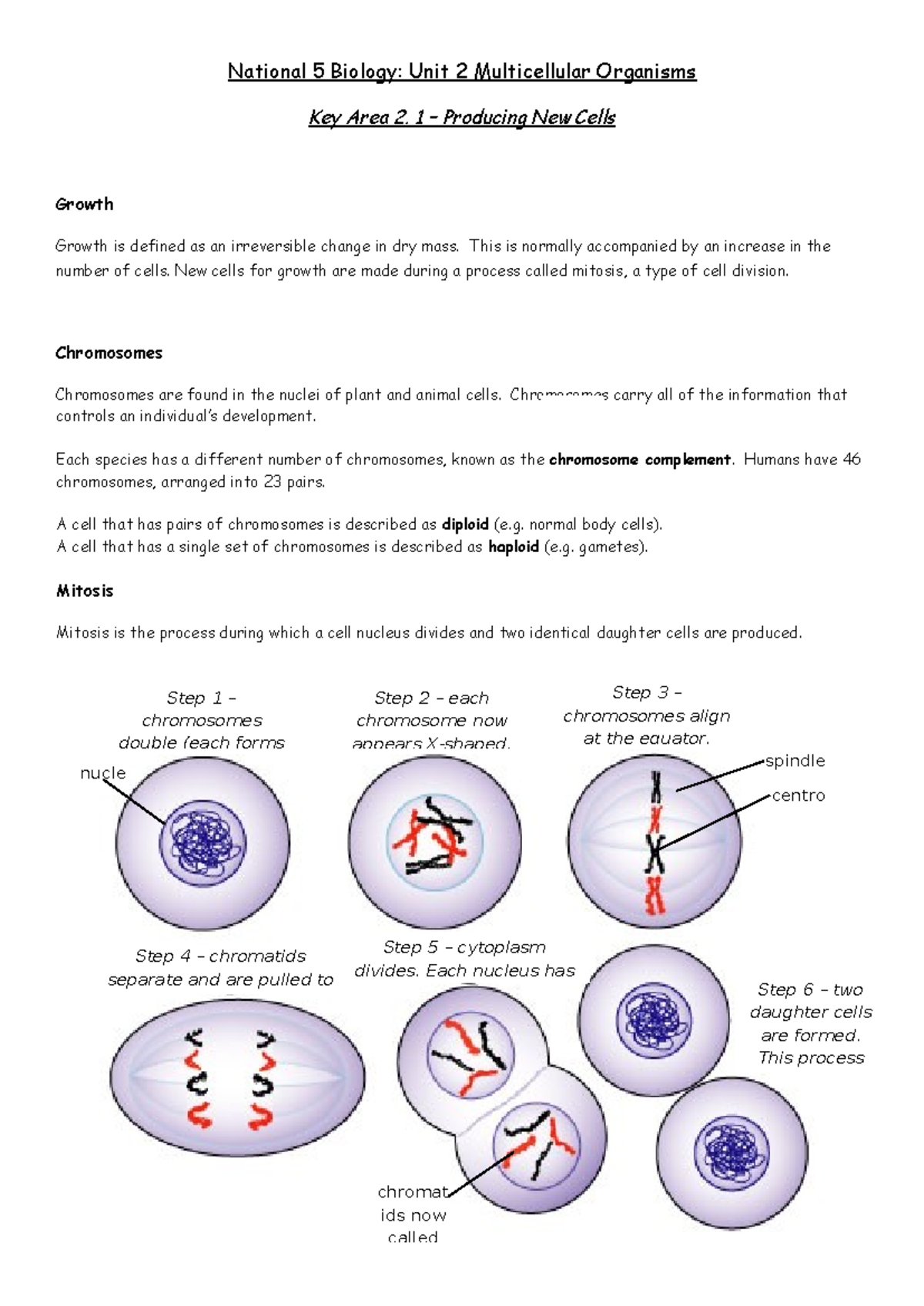 National 5 Biology: Unit 2 Multicellular Organisms - Key Area 2.1 - Studocu