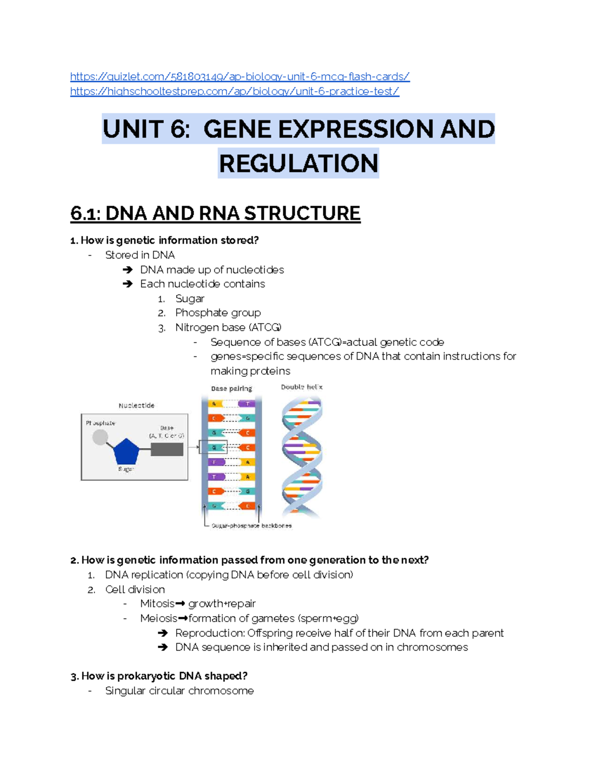 AP Bio Unit 6: Gene Expression and Regulation Notes - Studocu