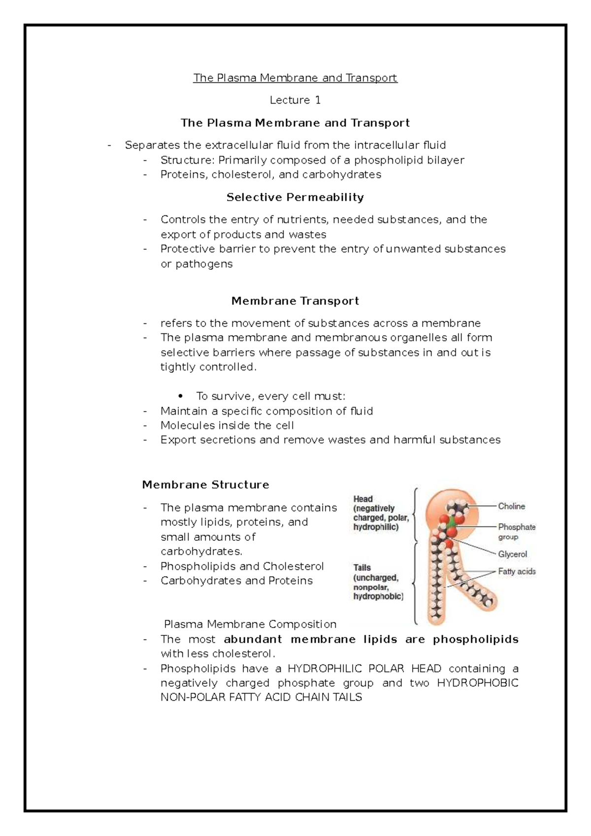 The Plasma Membrane and Transport 1 - The Plasma Membrane and Transport ...