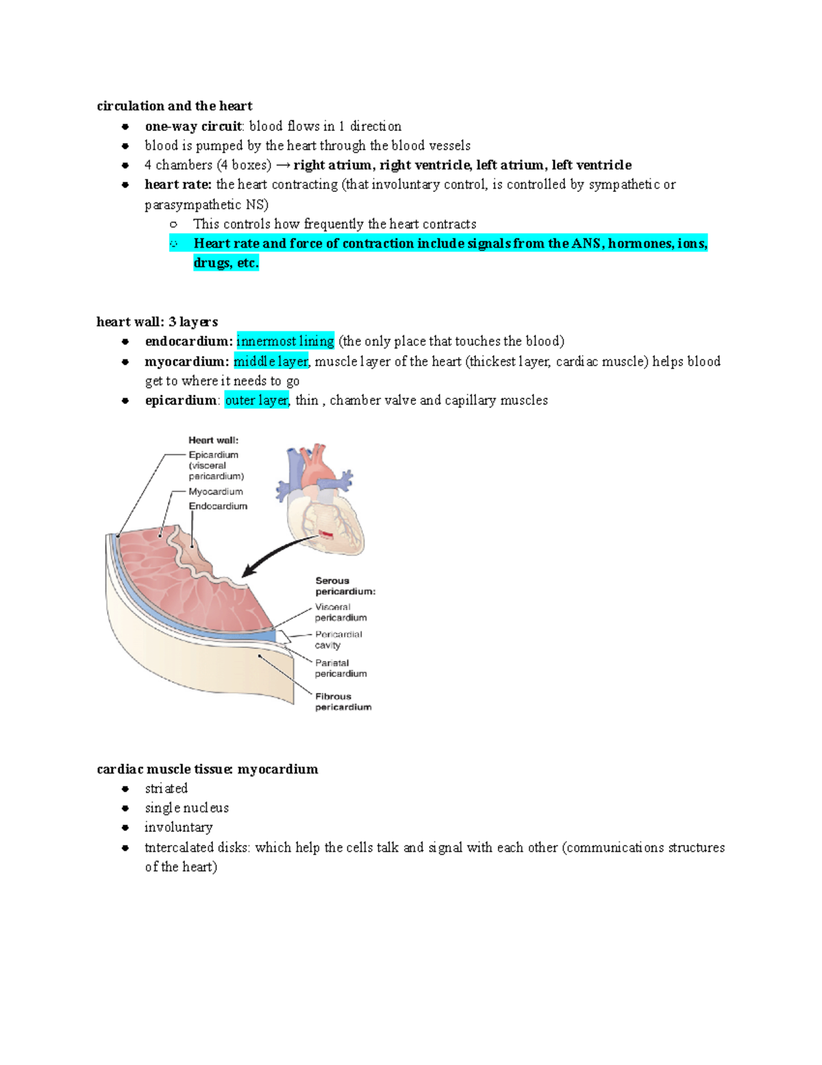 Anatomy Unit 4: Heart Circulation and Function Summary Notes - Studocu