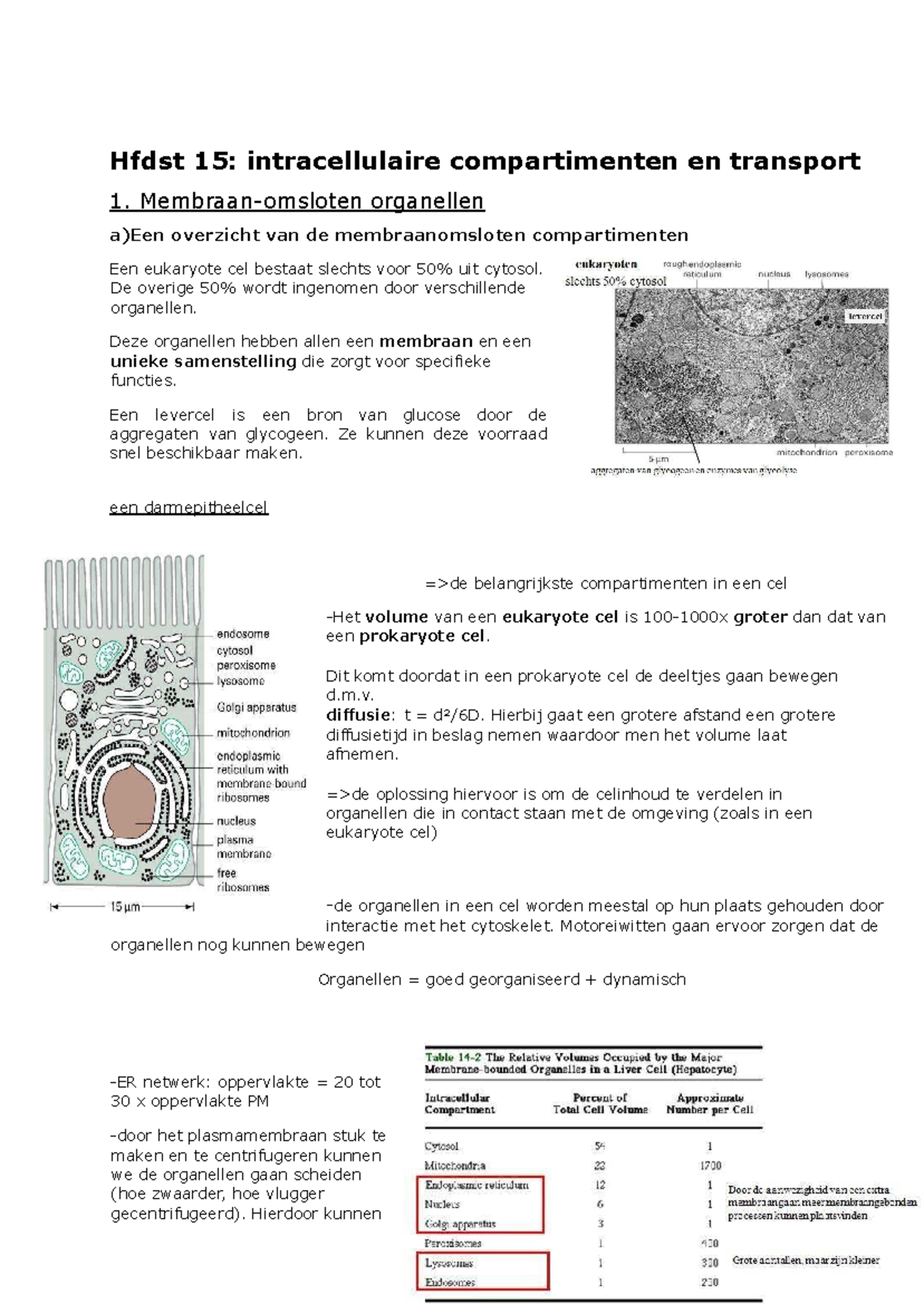 Samenvatting H15: Intracellulaire Compartimenten en Transport ...