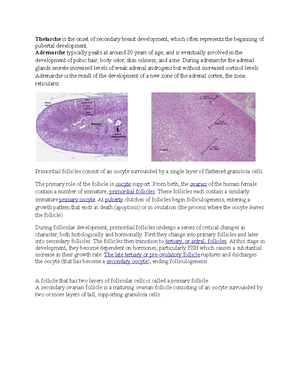 [Solved] 22A 20monthold male is being seen in the OPD His mother ...
