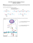 Mbg2040 - U of G - Foundations in Molecular Biology and Genetics FW ...