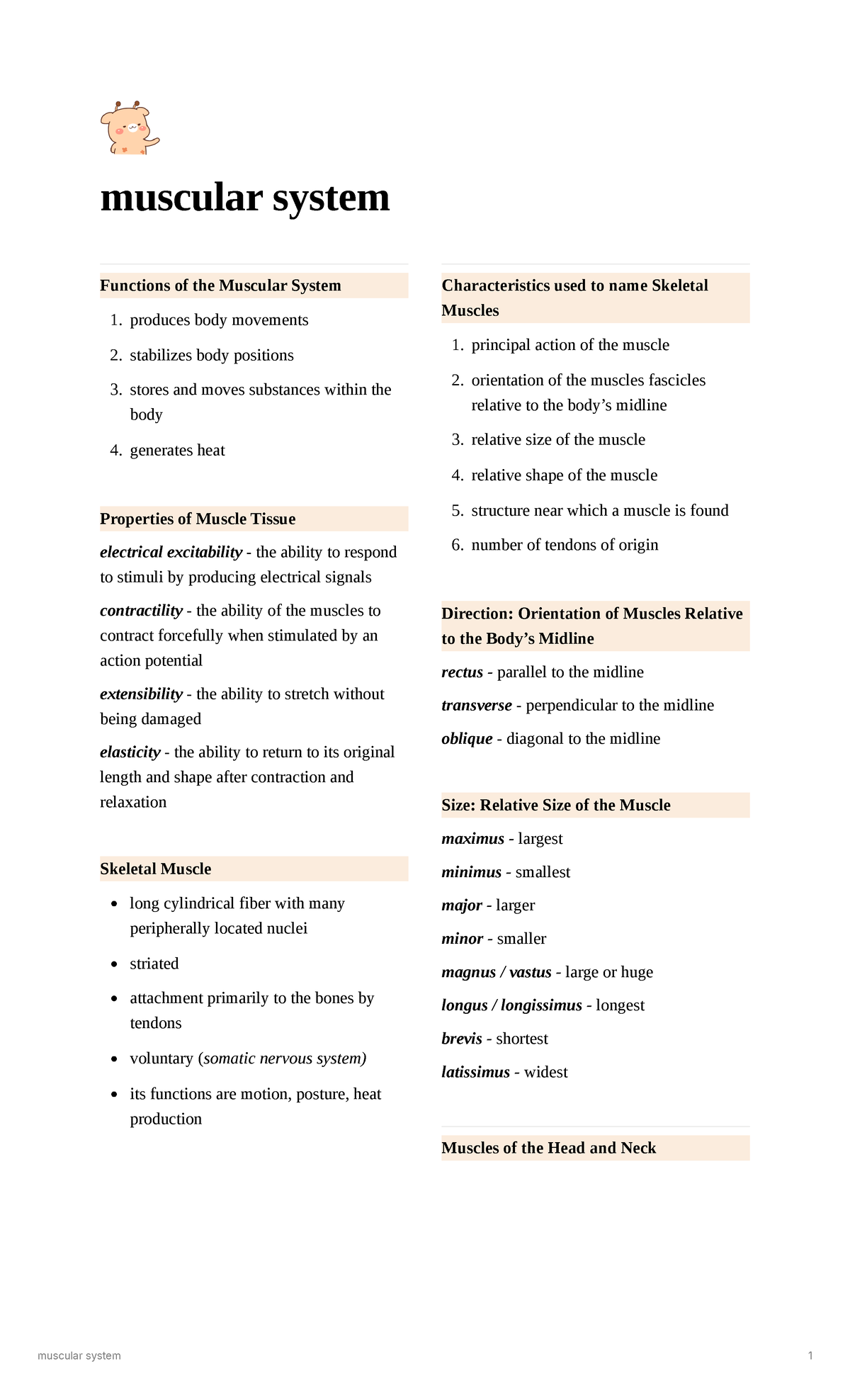 Muscular system - produces body movements 2. stabilizes body positions ...
