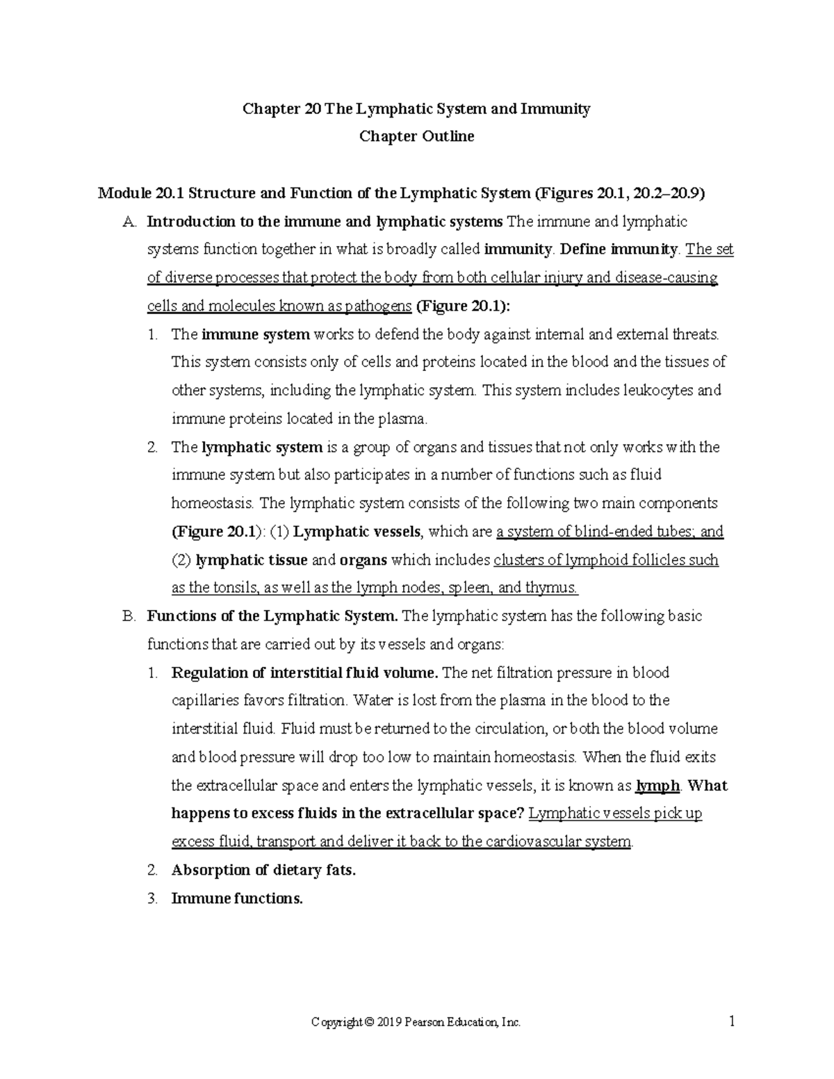 Chapter 20: The Lymphatic System and Immunity Overview - Chapter 20 The ...