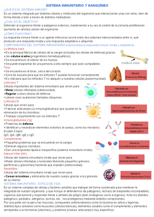 [Solved] describe la estructura y funcion del sistema muscular ...