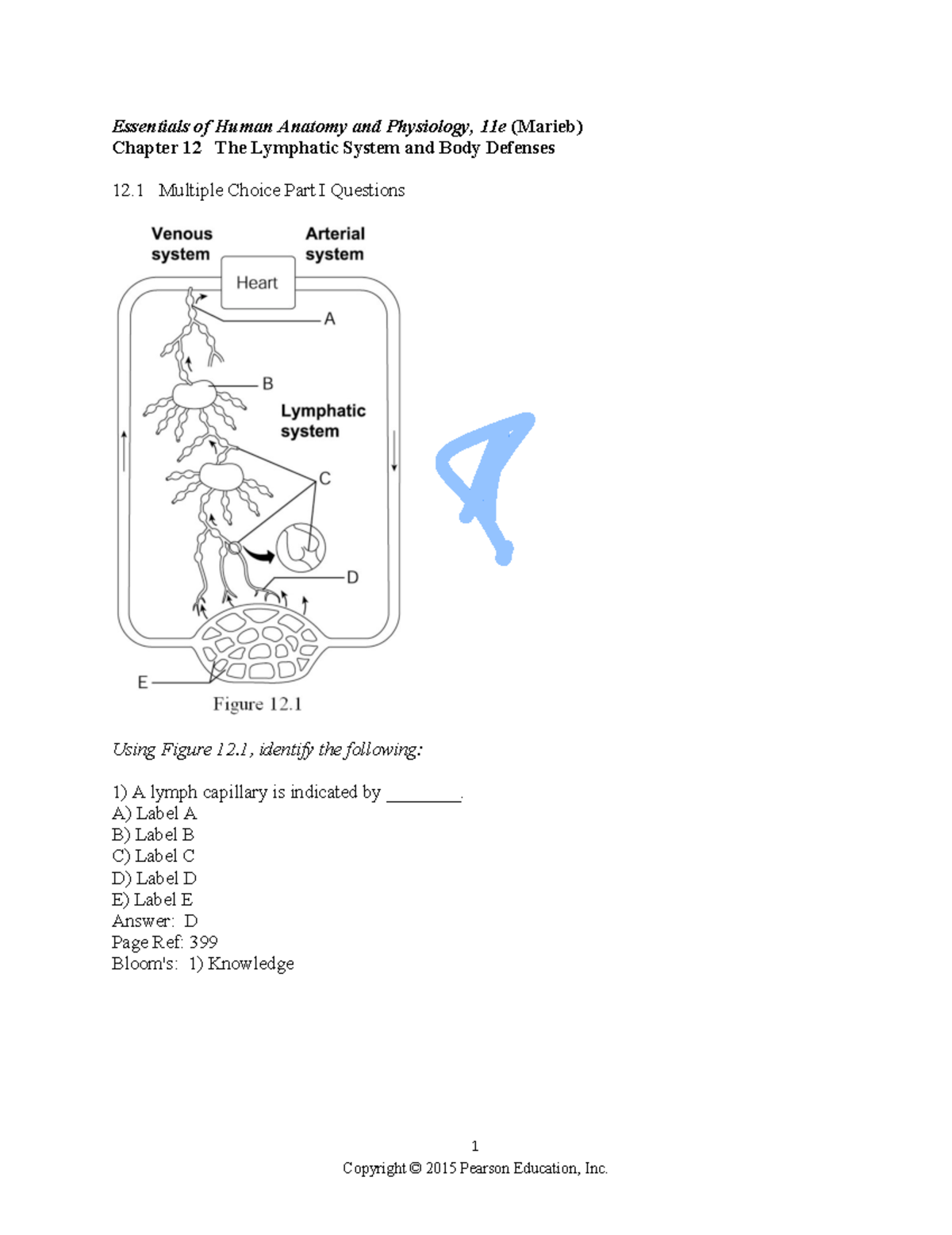 Final Exam Study Guide for BIOL 201: Chapter 12 Lymphatic System - Studocu