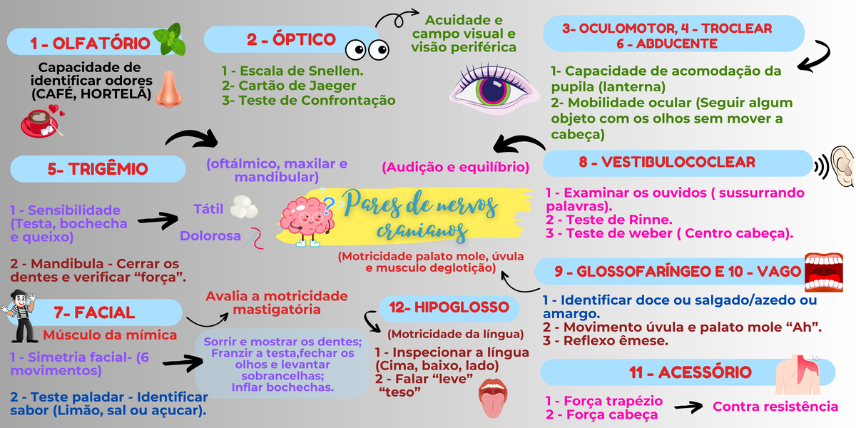 Pares de Nervos Cranianos: Testes e Avaliações Clínicas - Studocu