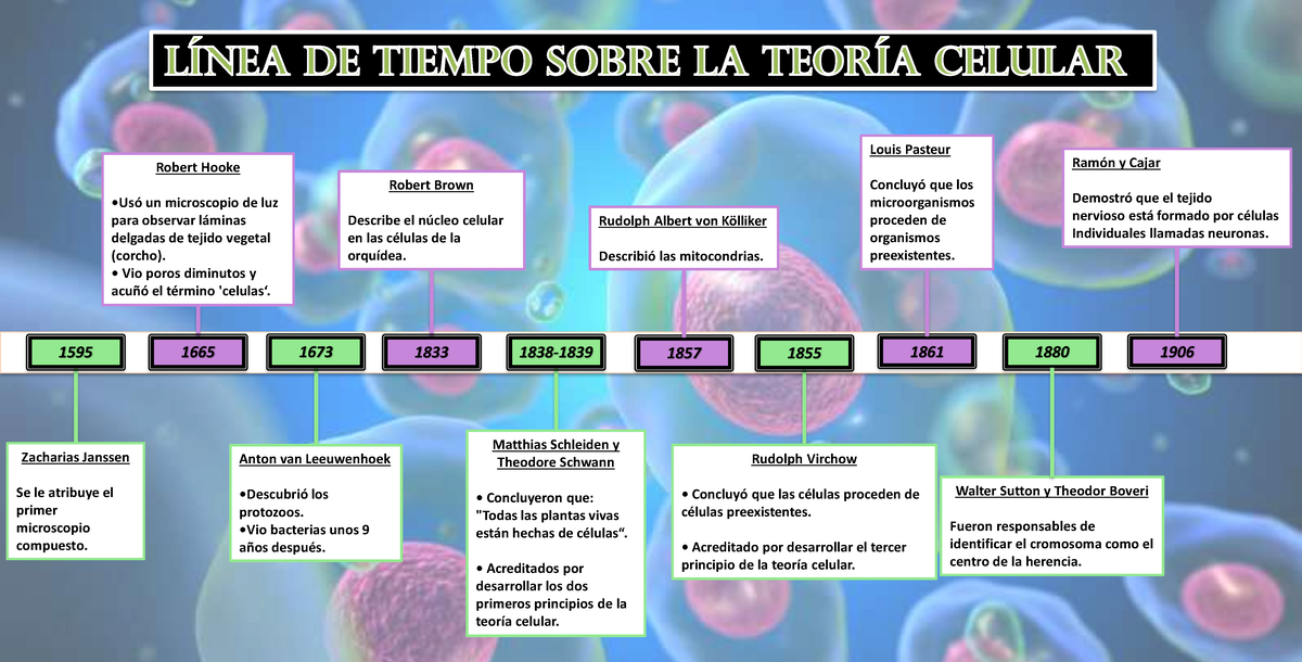 Ejemplo De Teoría Celular