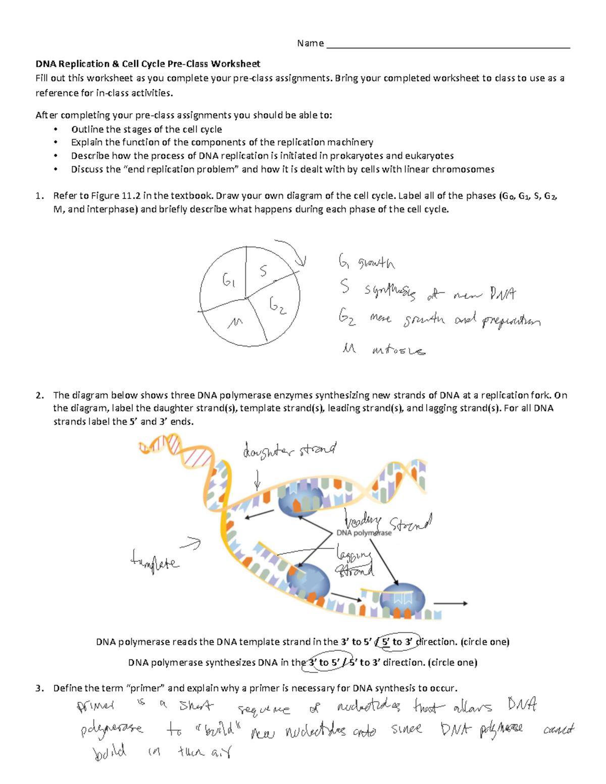 Week 8b DNA Replication Reading Guide - Name