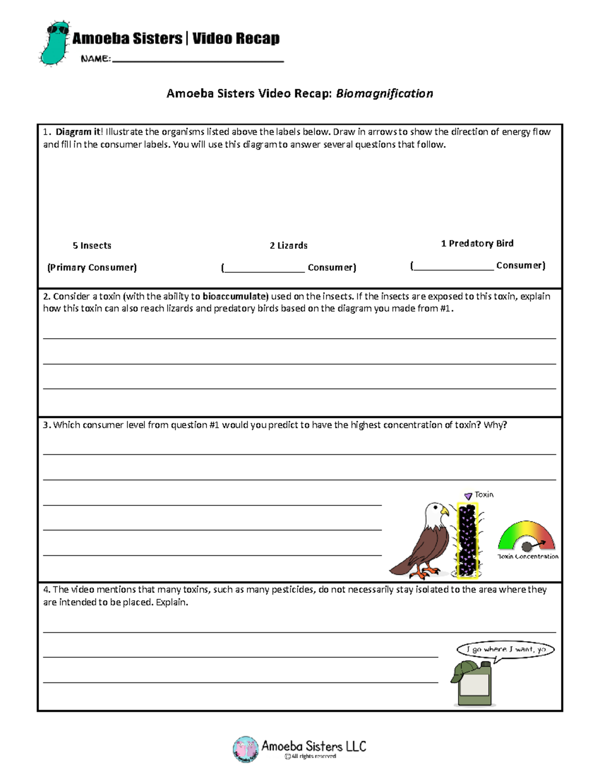 Amoeba Sisters Video Recap: Understanding Biomagnification Concepts ...