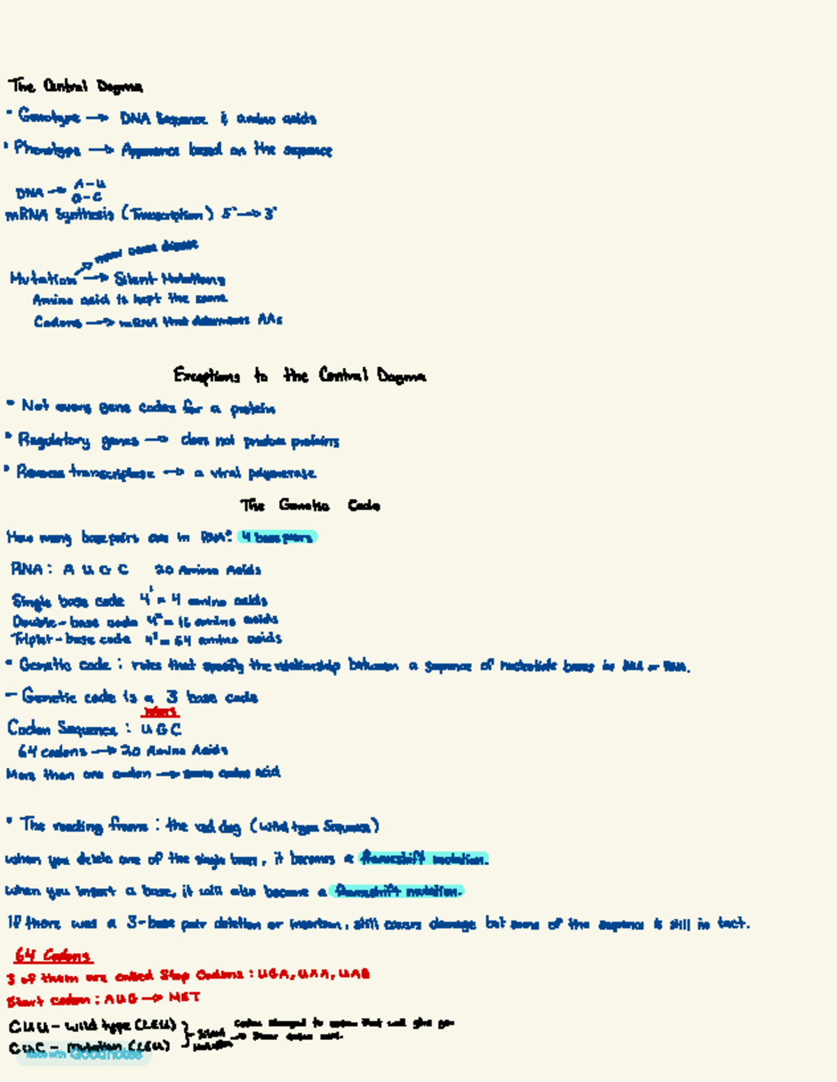 Bio 8 - Chapter 16: The Central Dogma and Genetic Mutations Explained ...
