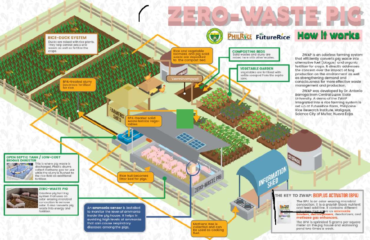 ZWAP Module: Zero Waste Pig Farming System Overview - Studocu