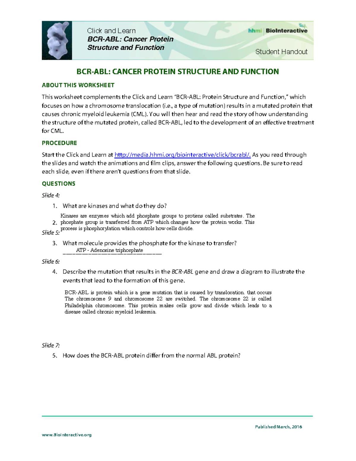 Assignment 4: Cancer Protein Structure and Function Worksheet BCH3034 ...