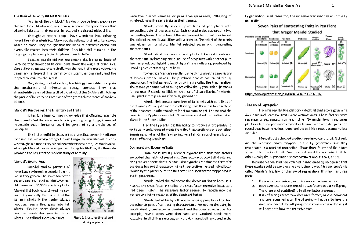 Science 8 Mendelian Genetics: Understanding Heredity and Traits - Studocu