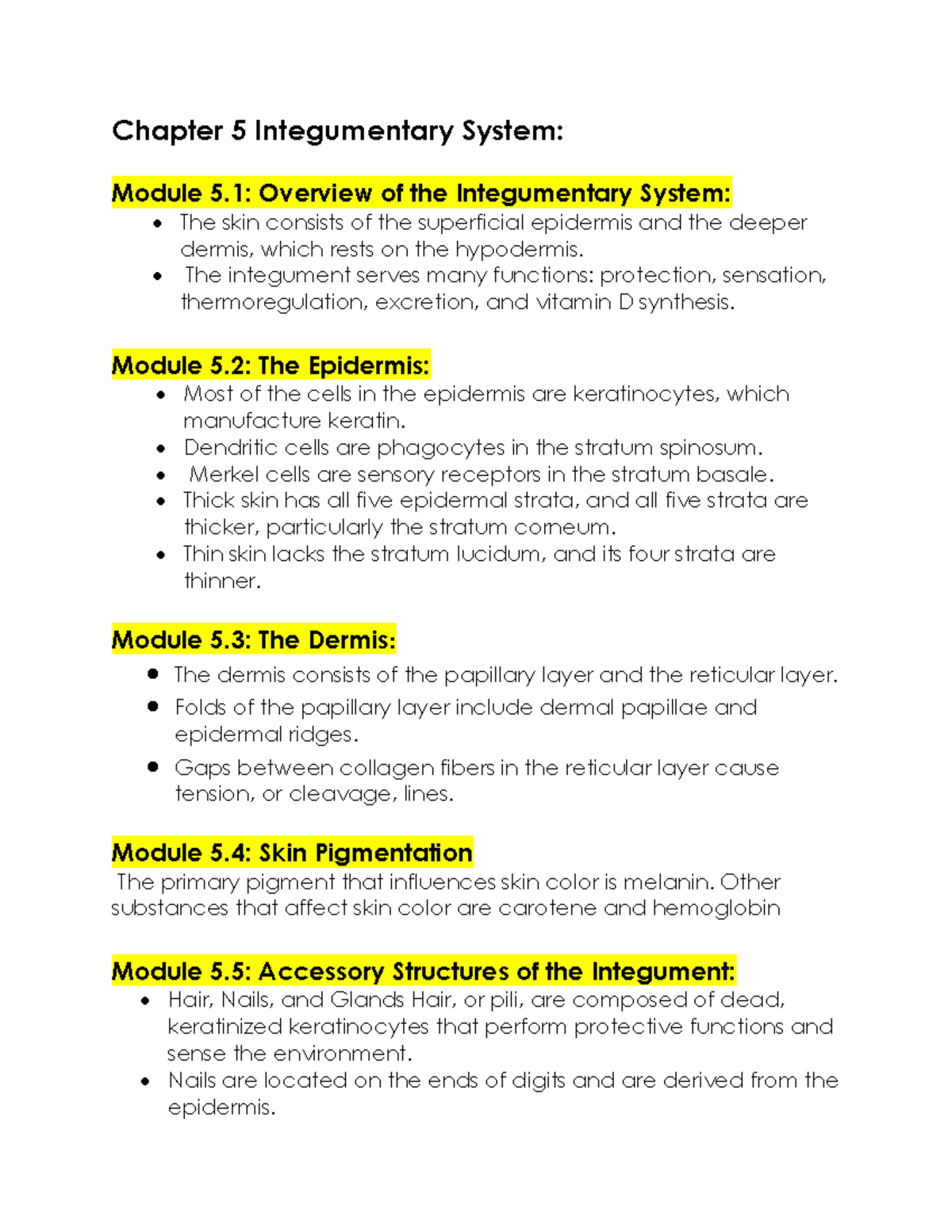 Chapter 5 Integumentary System - Chapter 5 Integumentary System: Module ...