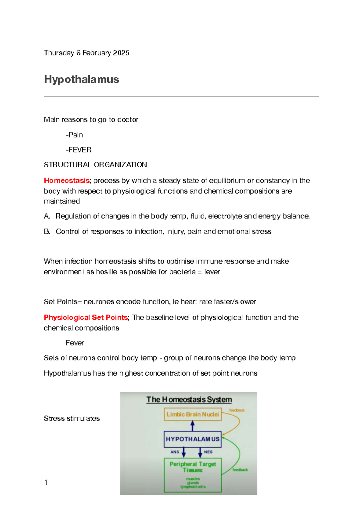Hypothalamus overview: Key functions and homeostasis mechanisms - Studocu