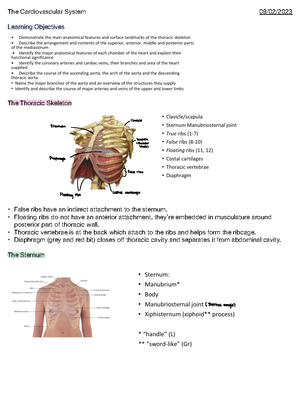Muscles of the lower leg revision - BONES OF THE LEG MUSCLES OF THE LEG ...