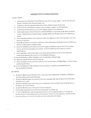 Anatomy and Physiology 2e - Student Solution Guide - STUDENT SOLUTION ...