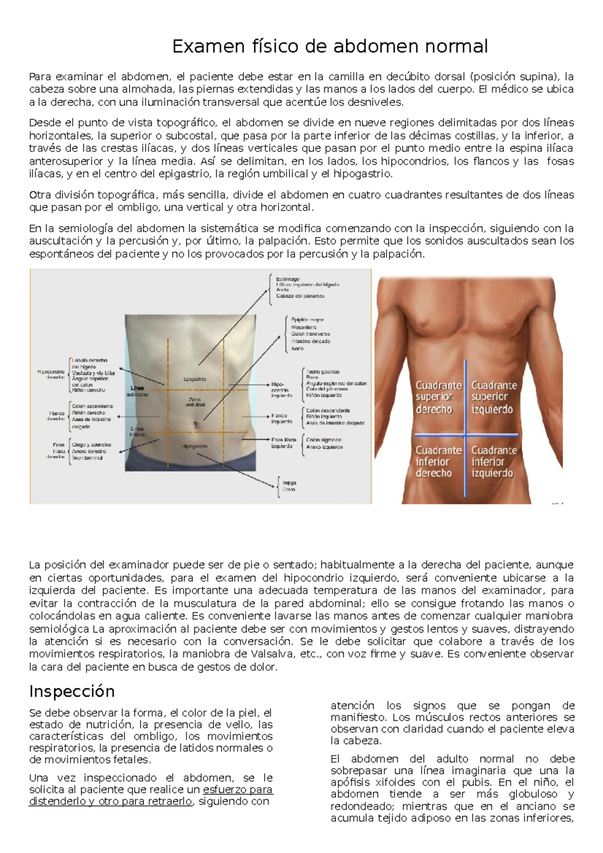 Examen físico del abdomen normal - Conceptos y Técnicas básicas - Studocu