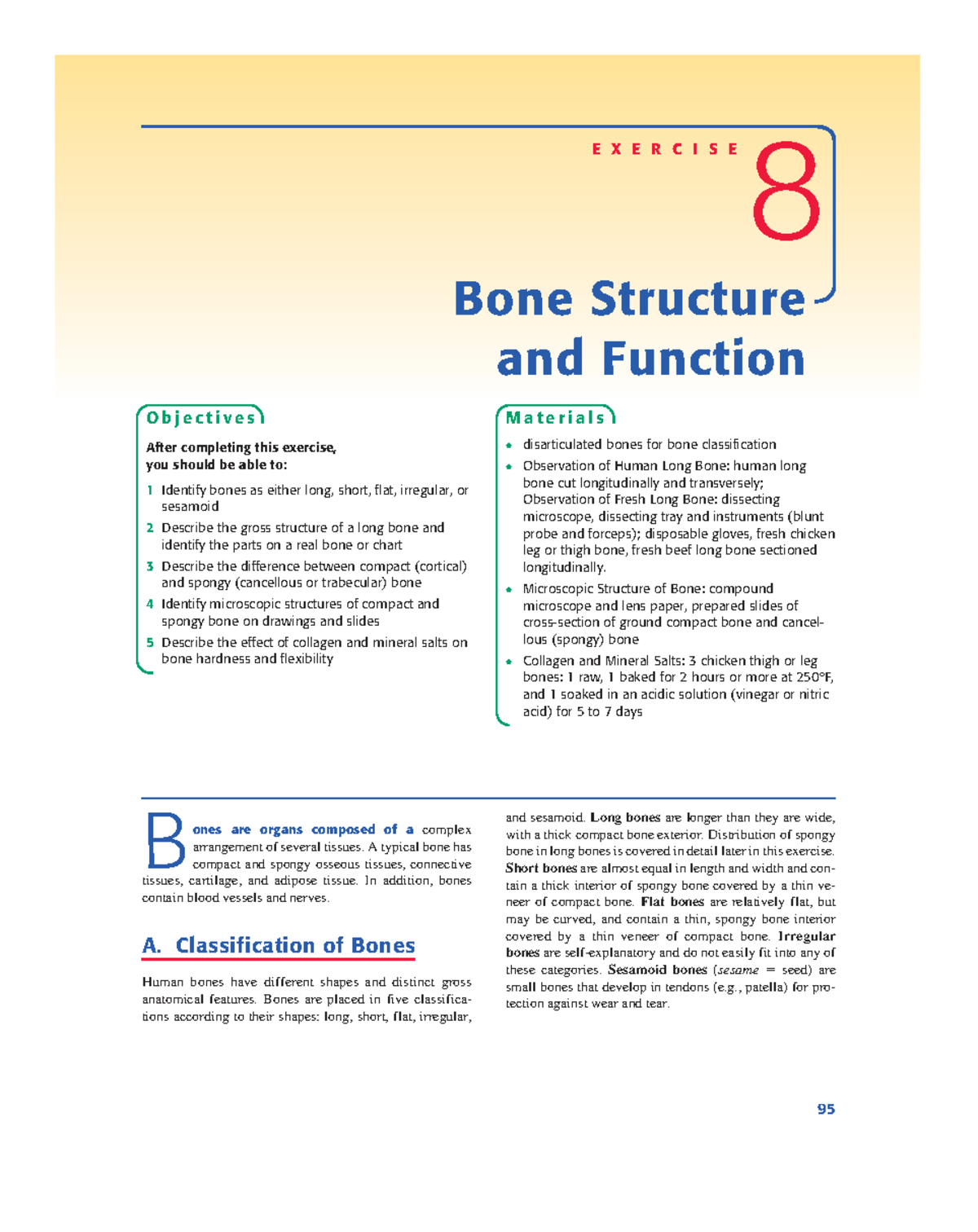 Exercise 8: Bone Structure and Function Overview and Activities - Studocu