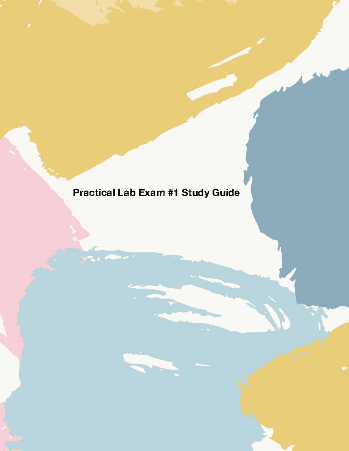 Study Guide for Practical Lab Exam #1 (Nervous System Focus) - Studocu