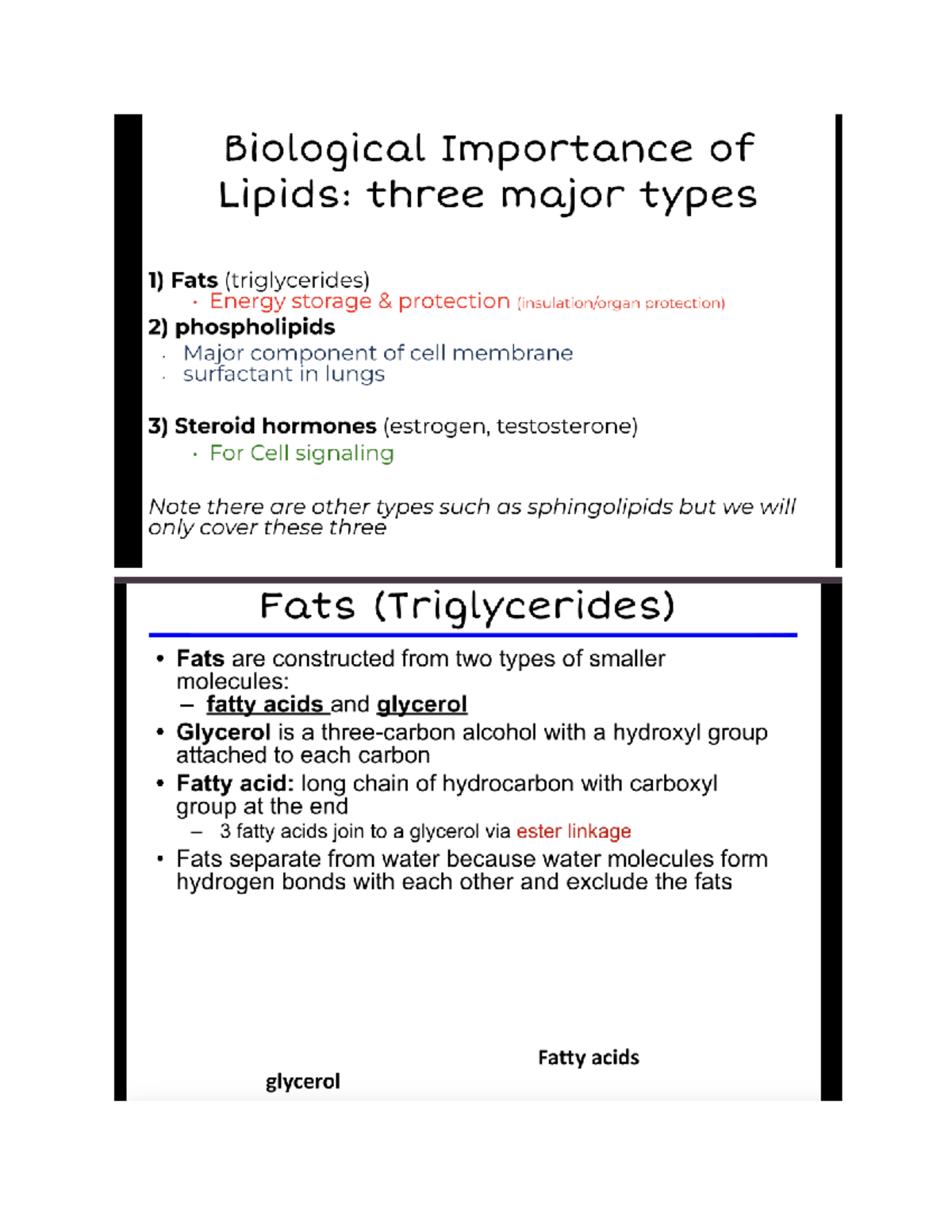 Lipids Study Guide: Key Concepts & Review Notes (BIO 101) - Studocu