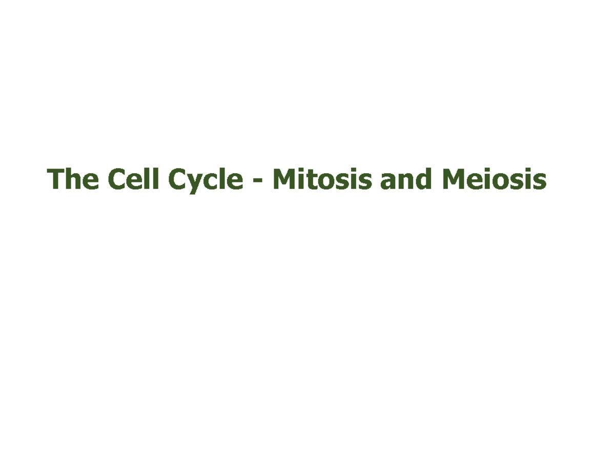 Cell Cycle Dynamics: Mitosis and Cytokinesis Overview (Biol 101) - Studocu