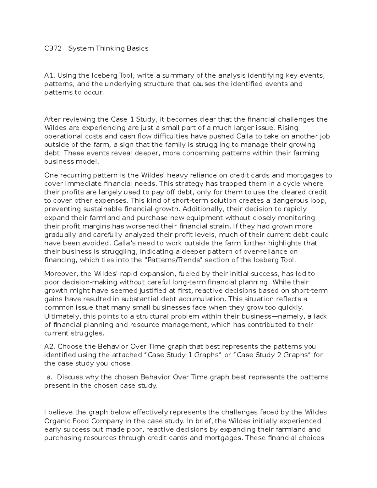 C372 Final Exam - System Thinking Analysis of the Wildes' Case Study ...