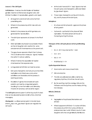 Chapter 3 Energy Transformations - biology - CHAPTER 3 ENERGY ...