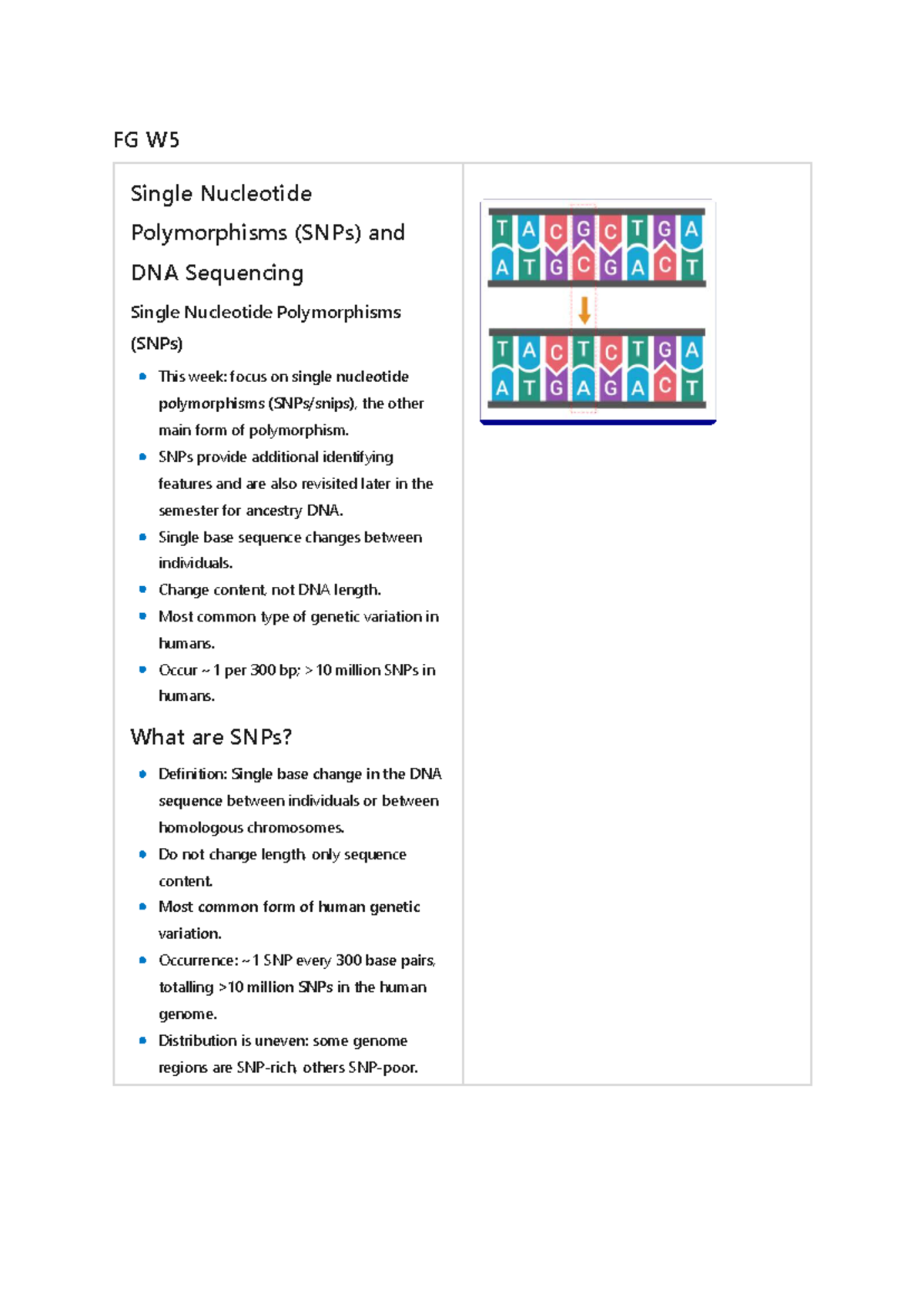FG W5: Single Nucleotide Polymorphisms (SNPs) & DNA Sequencing Overview ...