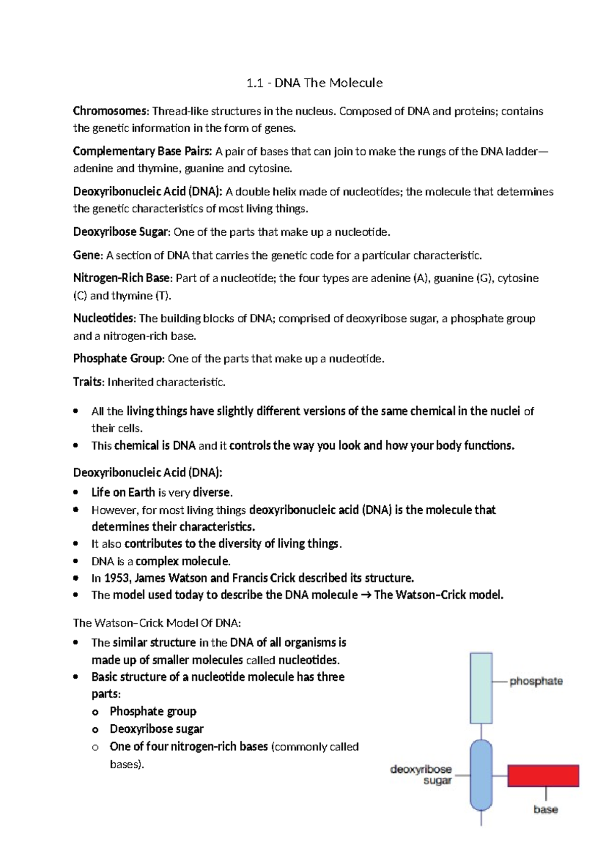 Chapters 1-3: DNA, Cell Division & Genetics - Year 10 Science Notes ...