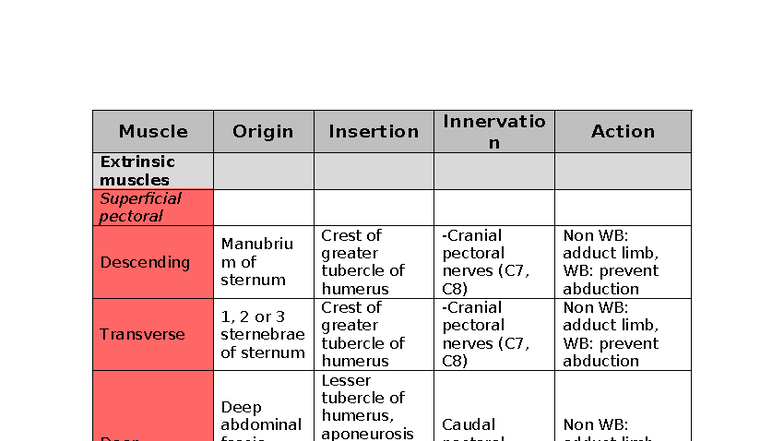 Forelimb Muscle Chart: Anatomy & Innervation Overview - Studocu