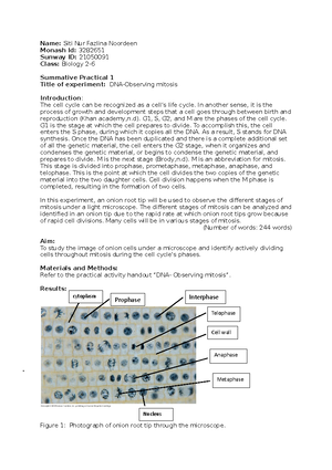 Effect of surface area to volume ratio on the rate of diffusion of agar ...