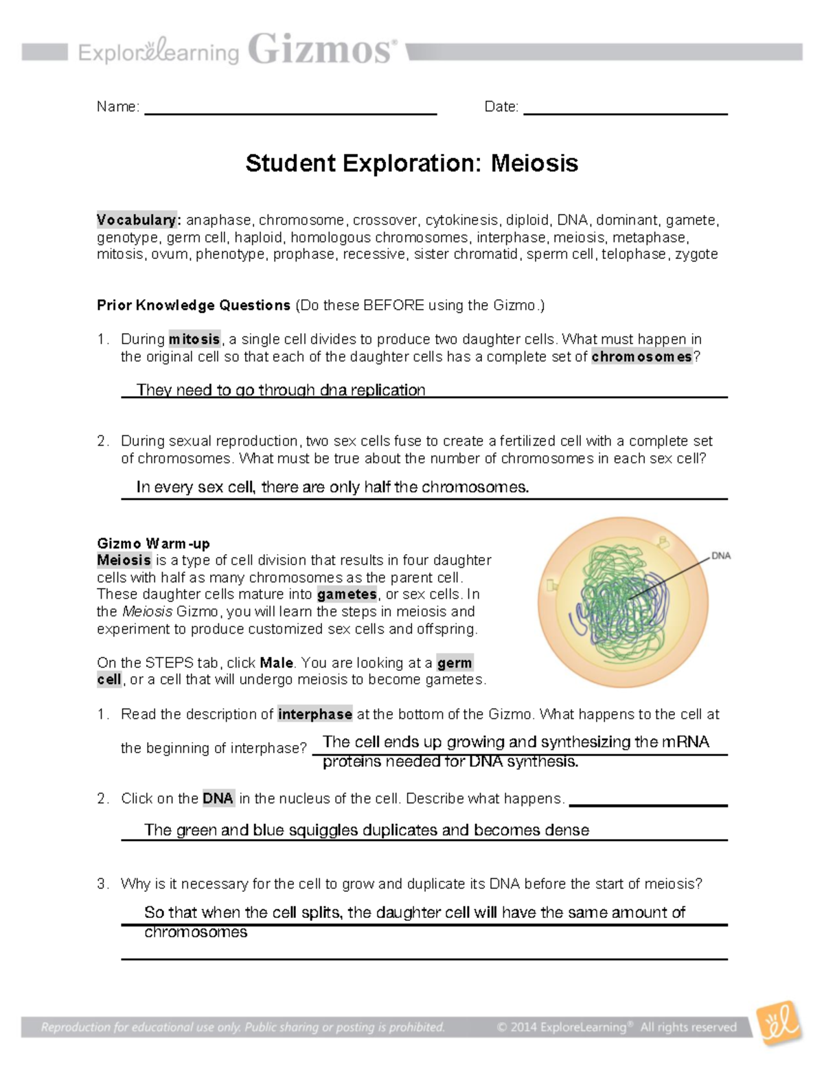 Meiosis Exploration - Gizmos Answers (Course Code: SE) - Studocu