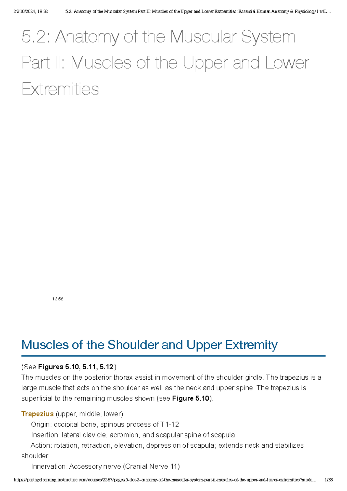 5.2 Anatomy of the Muscular System II: Muscles of Upper & Lower ...