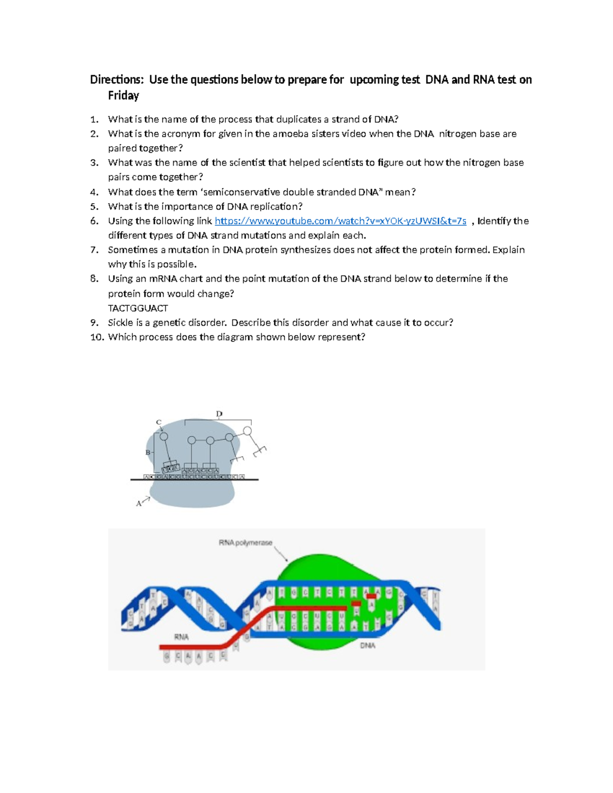 DNA RNA test - no description - Directions: Use the questions below to ...