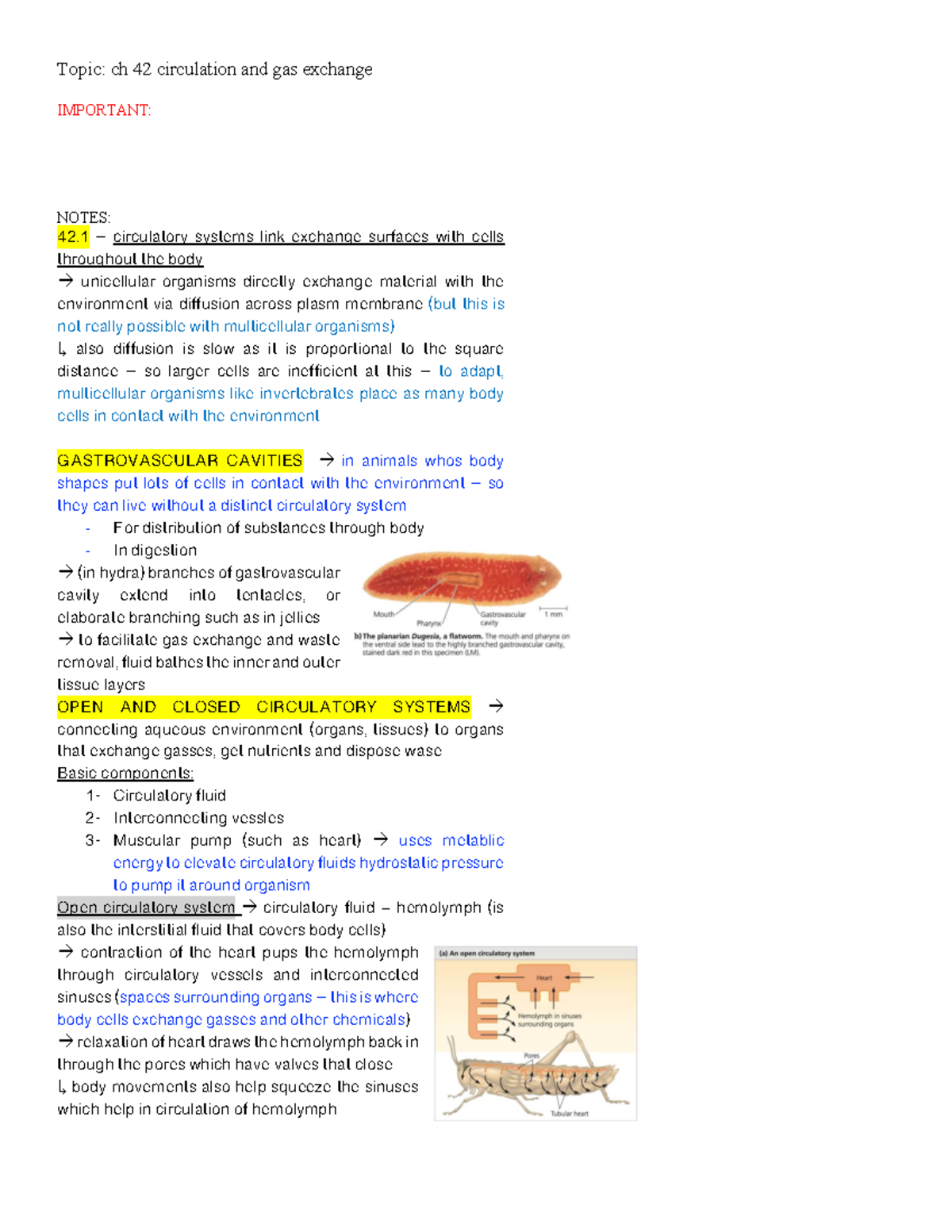 Bio102 Ch 42 Final Exam Notes: Circulation and Gas Exchange Overview ...