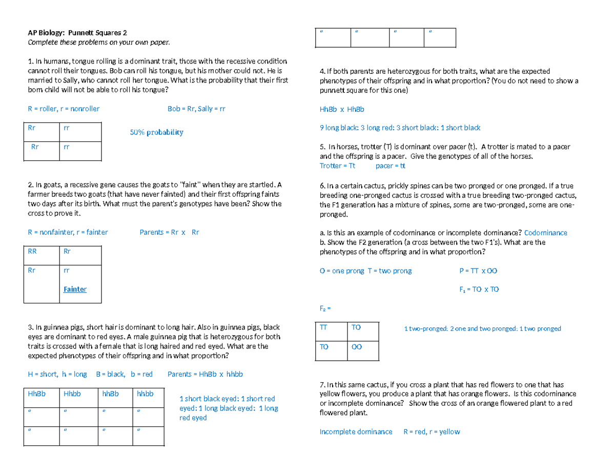 Punnett Squares 2 Key - AP Biology: Punnett Squares 2 Complete these ...