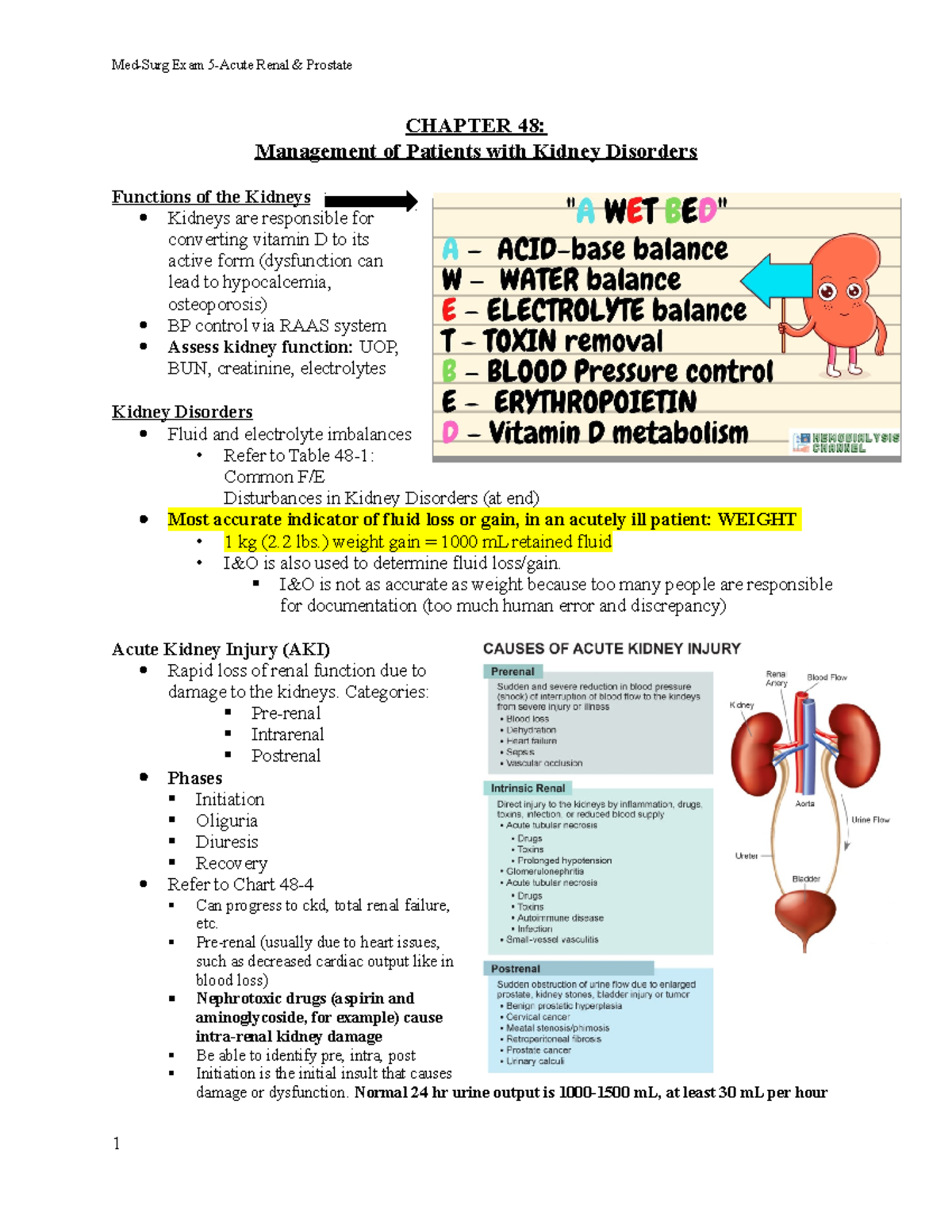 Med-Surg RN Final Exam Notes: Kidney & Urinary Disorders (NUR301) - Studocu