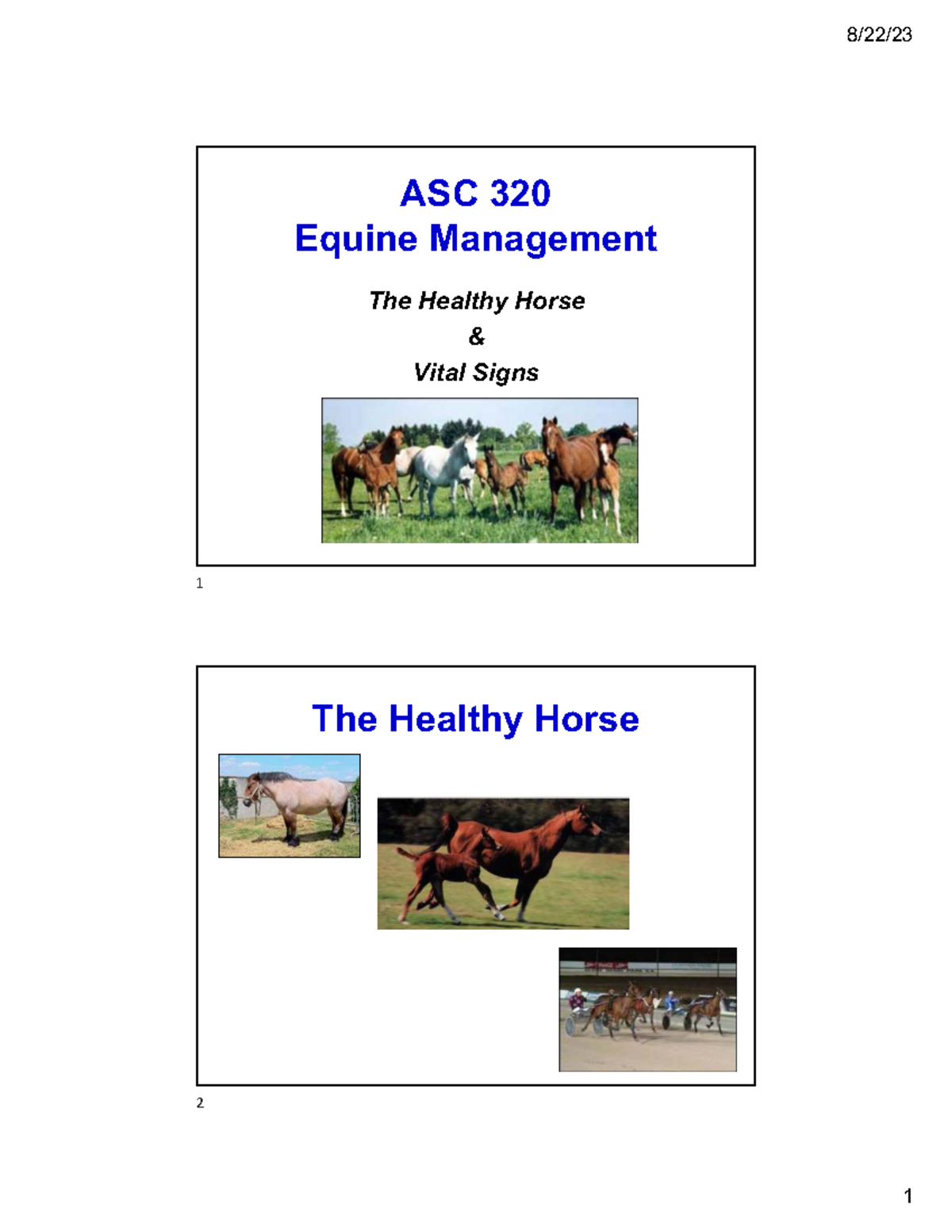 ASC 320 Lecture: Equine Management - Vital Signs of a Healthy Horse ...