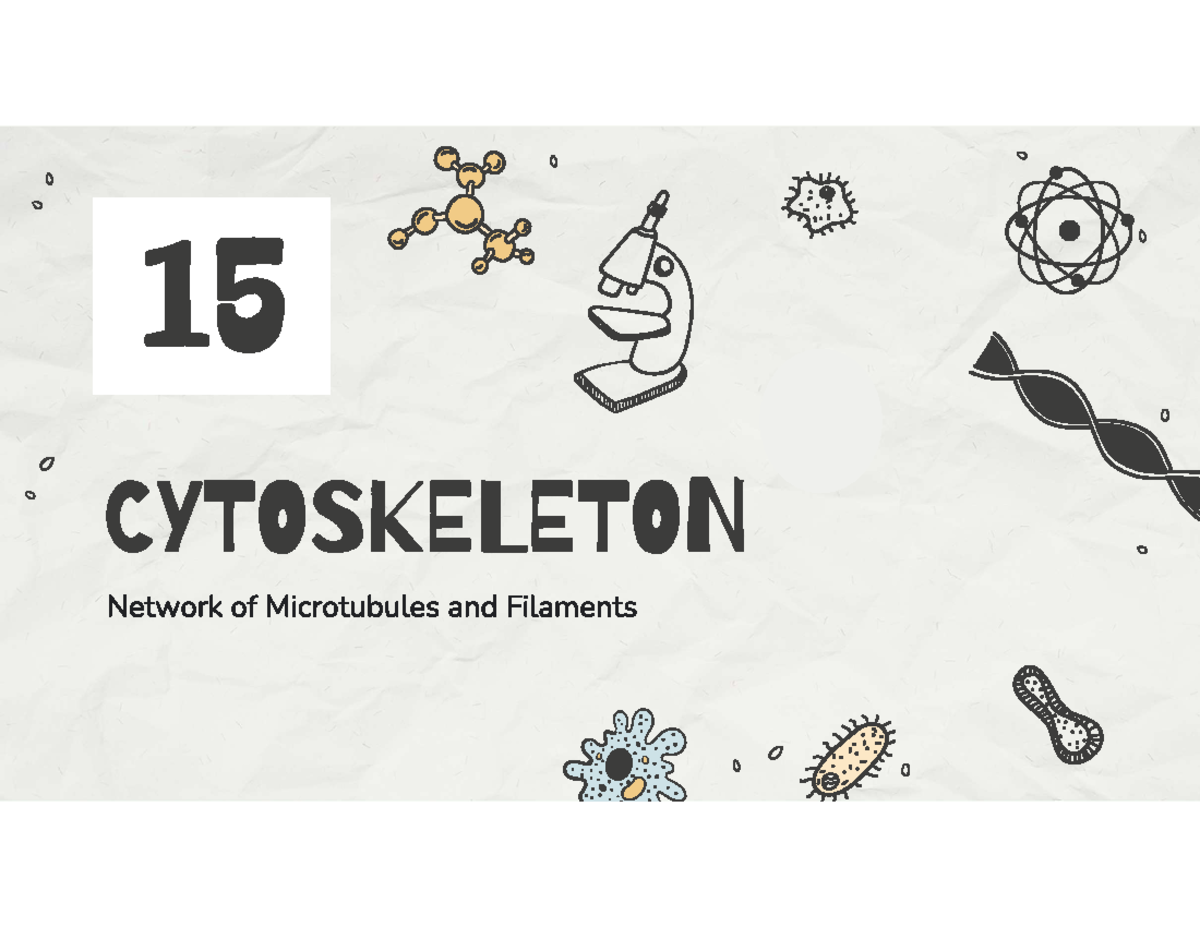 CYT 101: Cytoskeleton Basics - Types & Functions Lecture Notes - Studocu