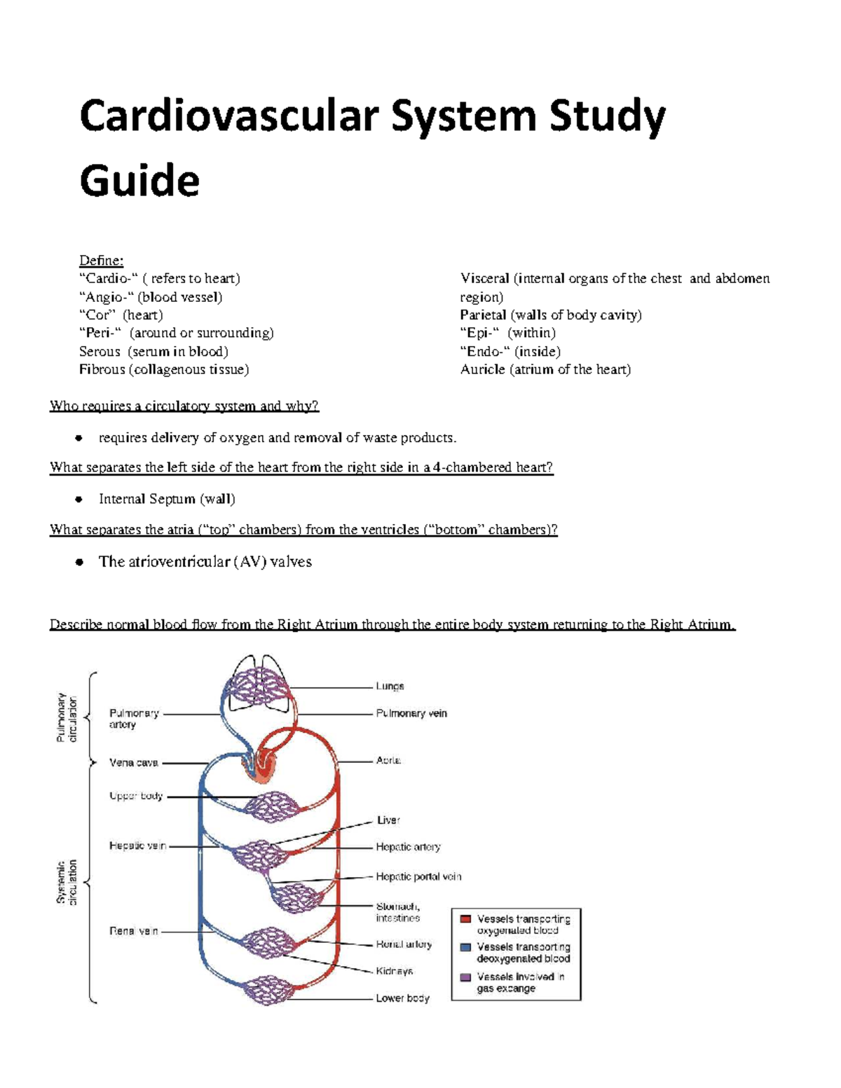 Study Guide for Cardiovascular, Respiratory, and Locomotor Systems ...