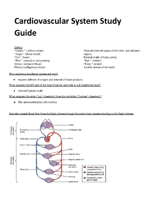 Comprehensive Study Guide: Cardiovascular & Musculoskeletal Systems ...